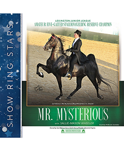 Home | The Saddle Horse Report