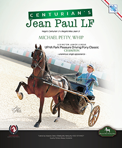 Home | The Saddle Horse Report